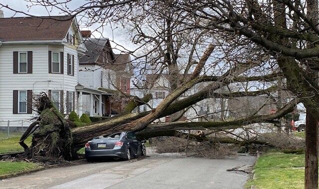 Wind causes damage in Fayette, surrounding areas - Observer-Reporter